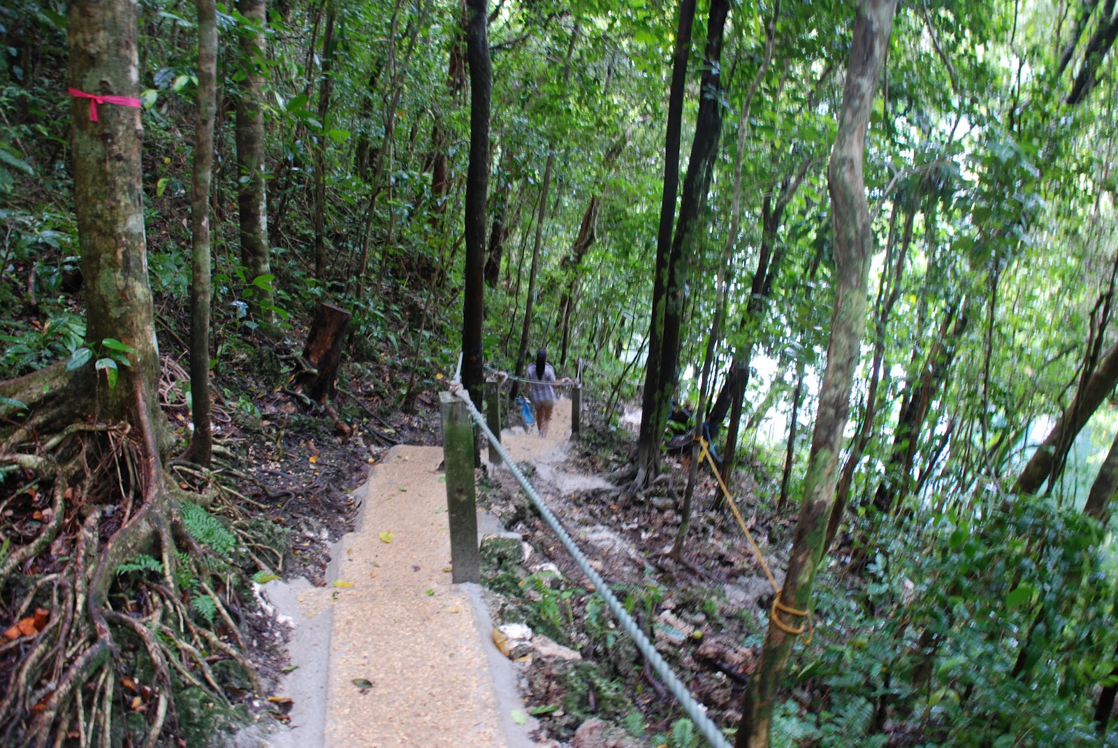 Last 11th of March, Prince Albertof Monaco and his wife, Princess ...