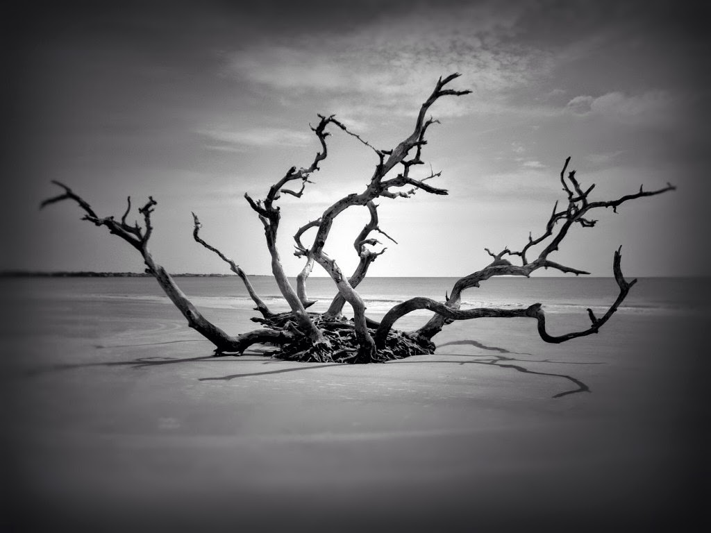 3d Form In Photography