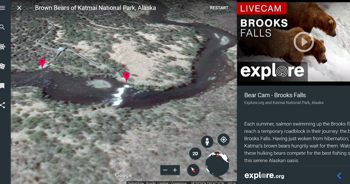 Free Technology for Teachers: Live Nature Webcams In Google Earth