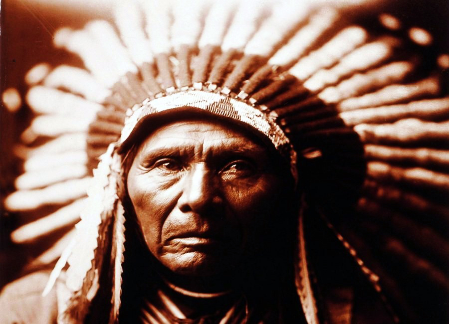 EL MANIFIESTO AMBIENTAL DE NOAH SEALTH