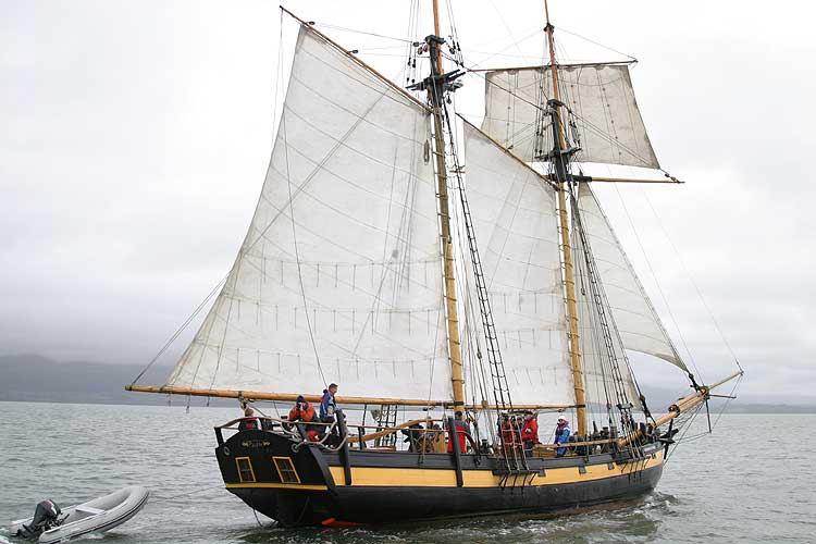 Arwen's meanderings: HMS Pickle...........a little boat