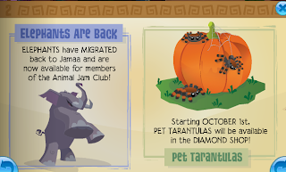 Animal Jam news: everything about AJ: Spooky updates and stuff