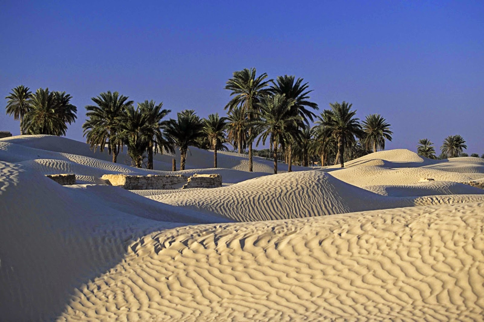 10 photos qui vous donneront envie de partir dans le desert Tunisien ...