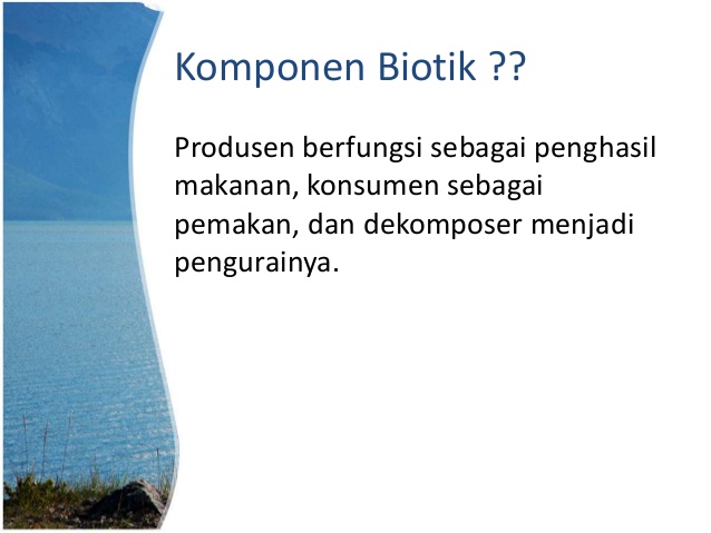 PENJELASAN DAN CONTOH KOMPONEN ABIOTIK DAN BIOTIK | Cafe Pendidikan
