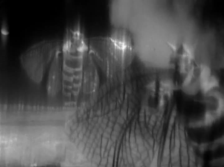 Classical Gallifrey: Serial 13: The Web Planet