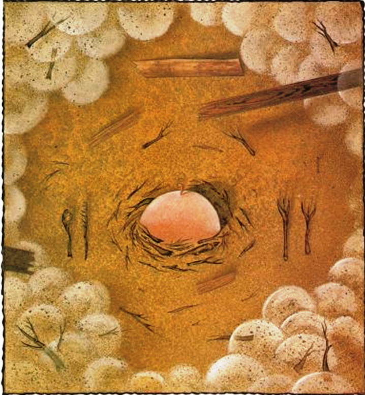 Cuentos Mágicos: ¡La verdadera historia de los tres cerditos! - Jon ...