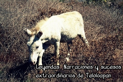 EL BURRO BLANCO | Leyendas, narraciones y sucesos extraordinarios de ...