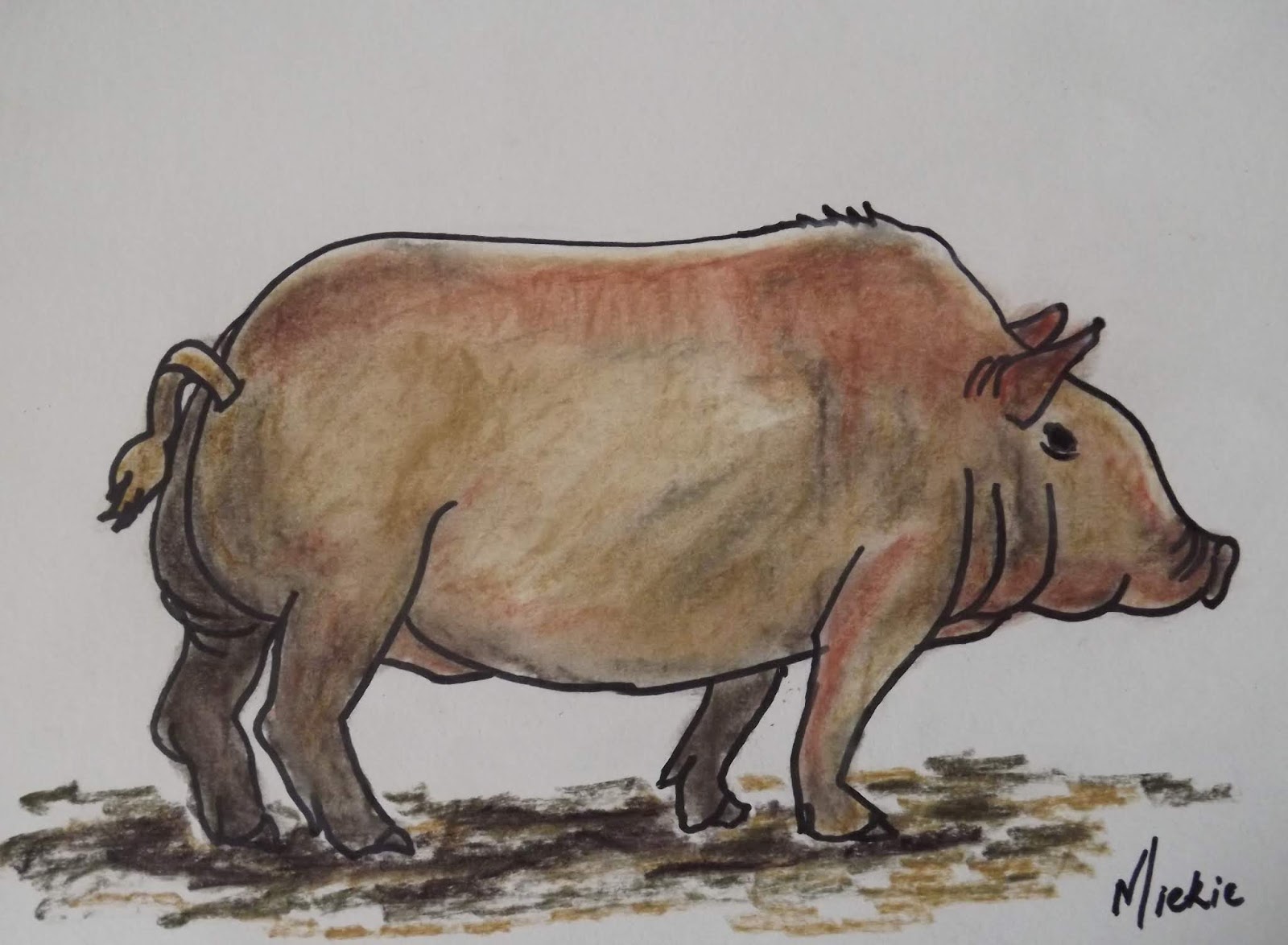 A Pretty Talent Blog: How to draw: A Pig
