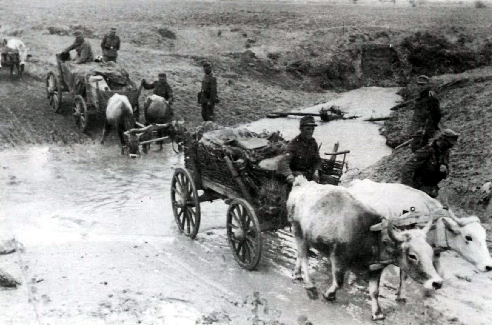 Men of Wehrmacht: Civilian Carts of 1. Gebirgs-Division