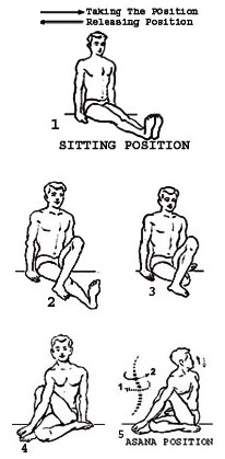 The Elegant Klutz: Ardha Matsyendrasana or Seated Twist