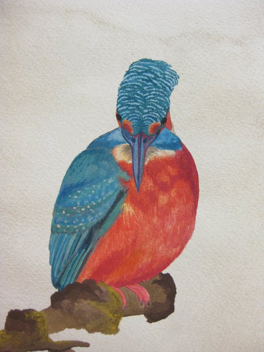 arcane details: bird paintings