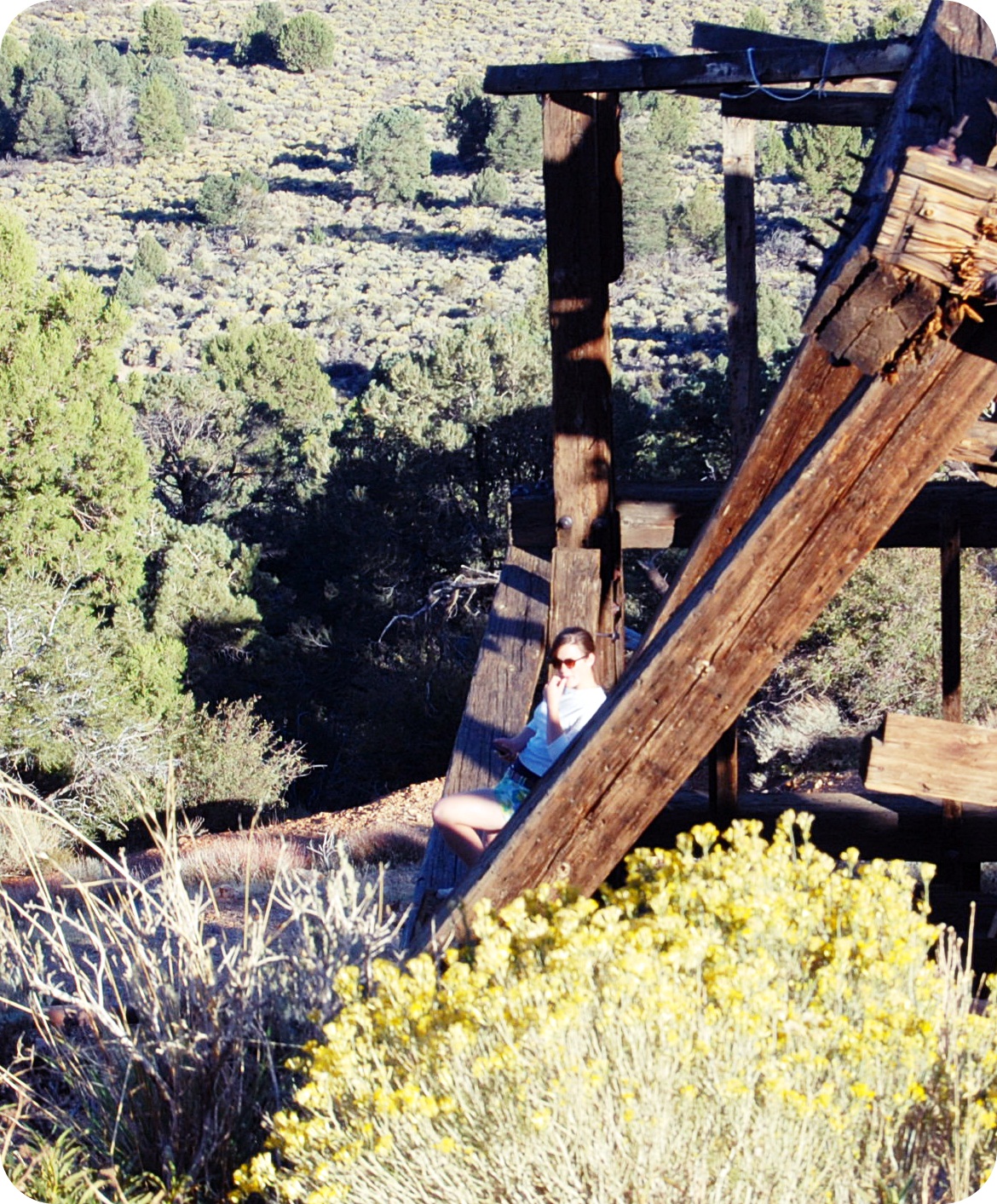 Yammering Muse: Holcomb Valley