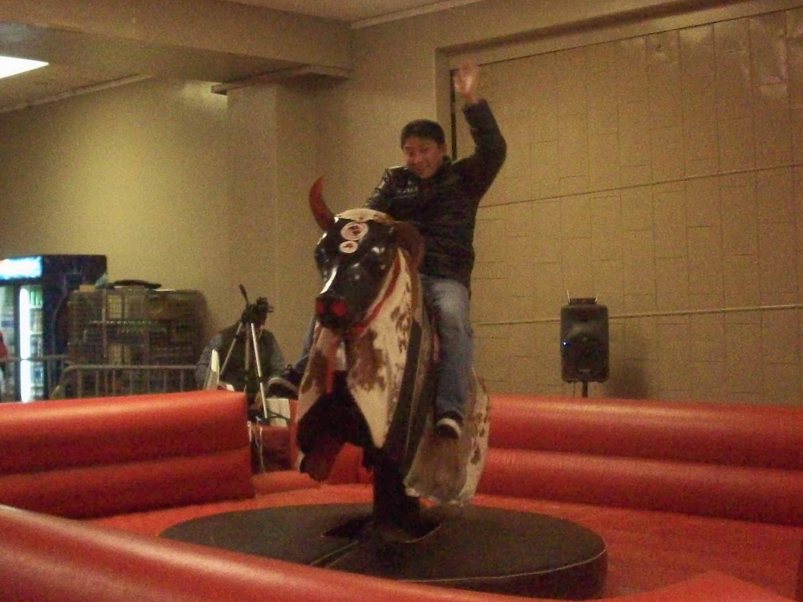 THE BULLS SHEET: SOME THINGS TO KNOW