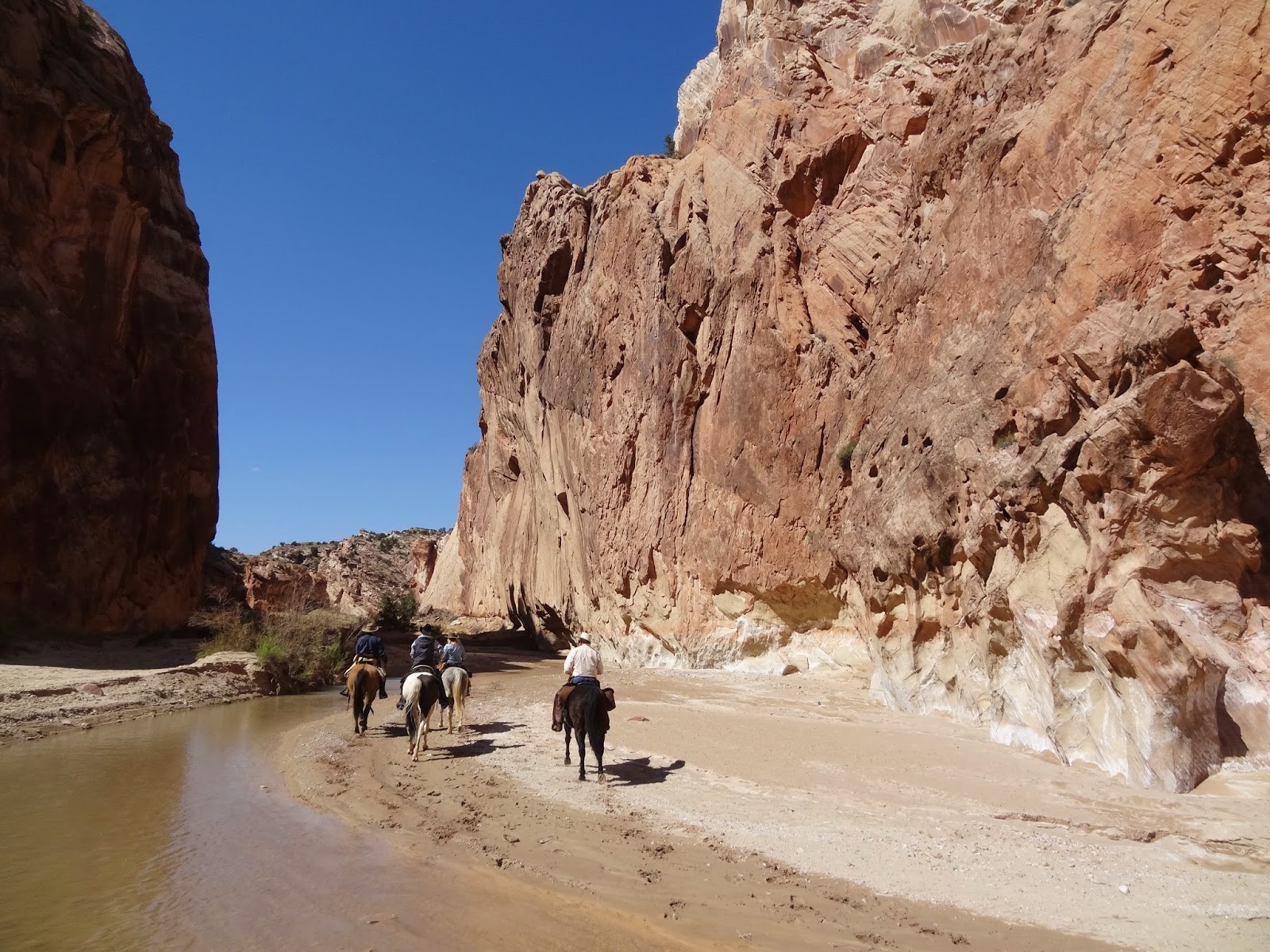 Dream Packer Trail Adventures: Paria River to Lower Hackberry Canyon, Utah