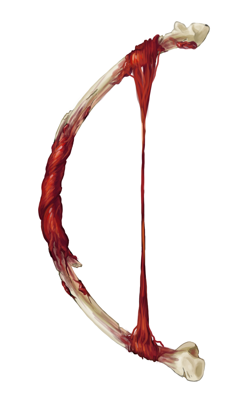 The Lair: Necromancers Bone Bow