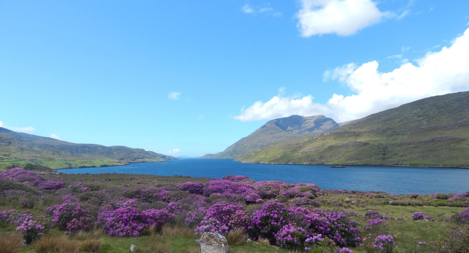 Granny off the road : Du côté de Leenane