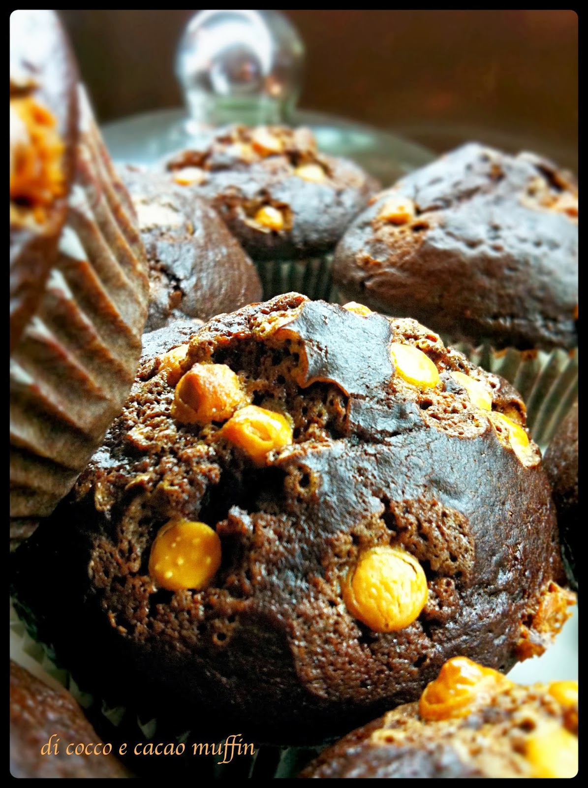 il cuore arrosto: DI COCCO E DI CACAO MUFFIN