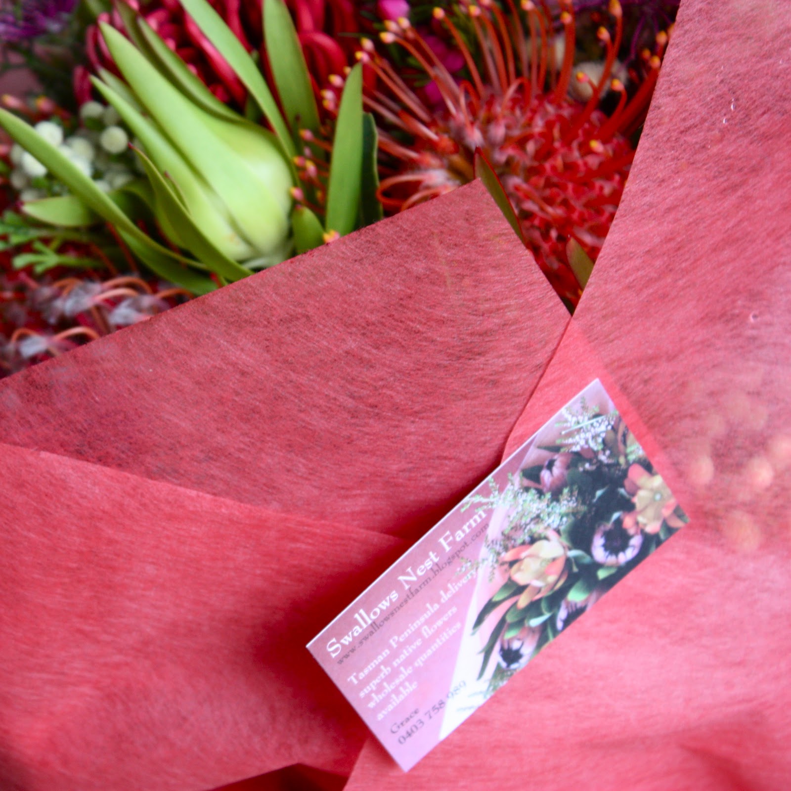 Tips for Longer Vase Life (2024)