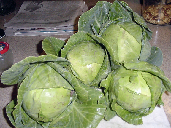 Eating Floyd...: Cooking Floyd: Cabbage Rolls