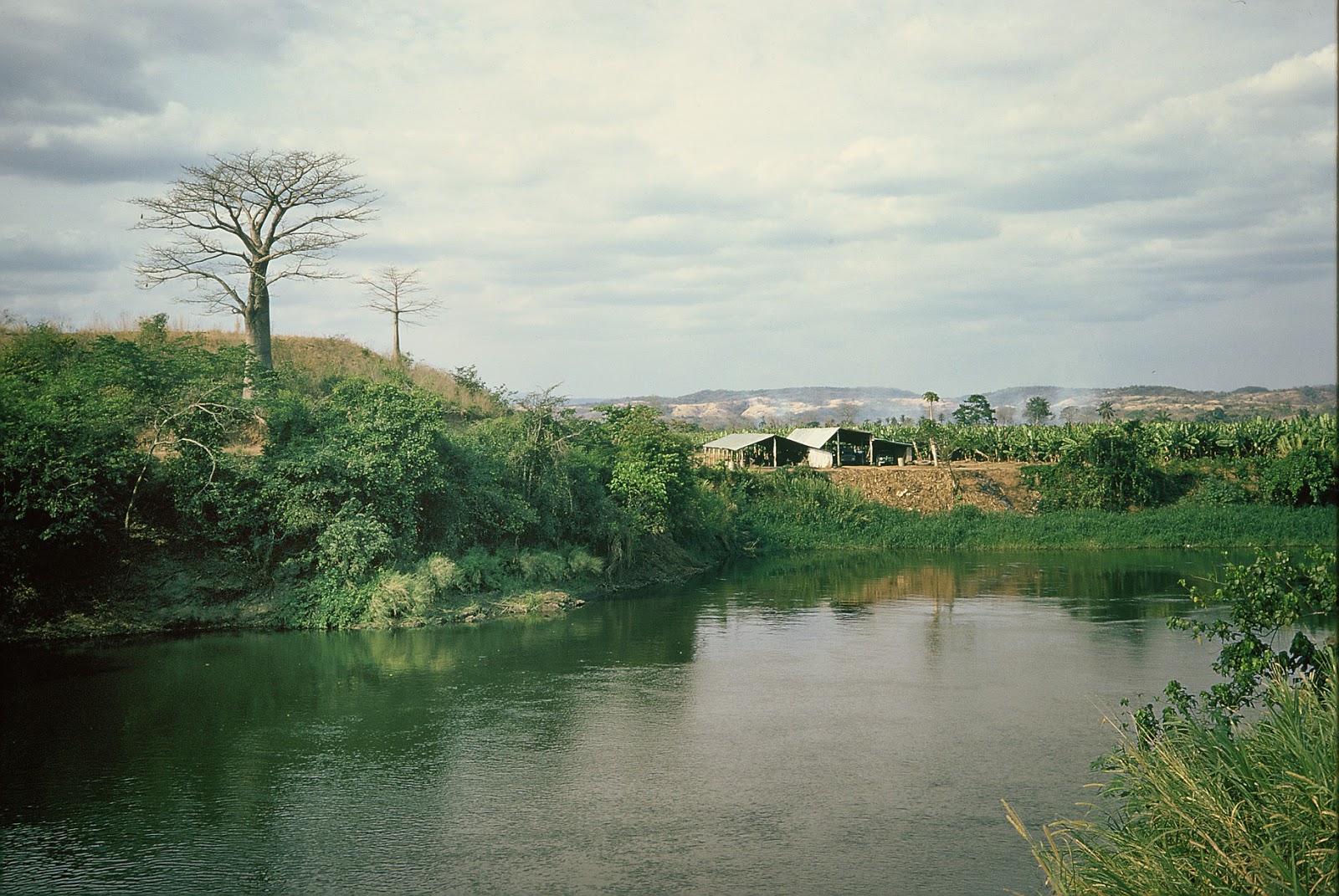 MAVINGA - ANGOLA 2ª. Compª. Bat. Caç. 5012: Calomboloca