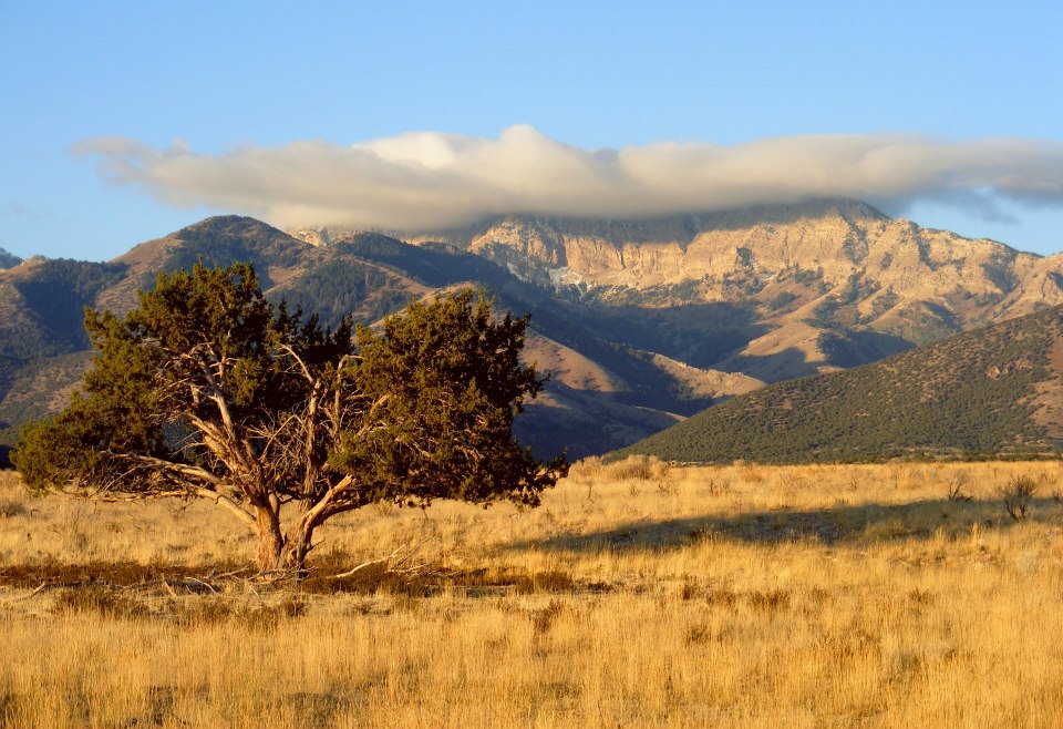 Clark Historic Farm: Photos