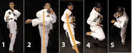 Teknik Dasar TAEKWONDO Dollyo Chagi (Tendangan Dollyo) ~ Taekwondo ...