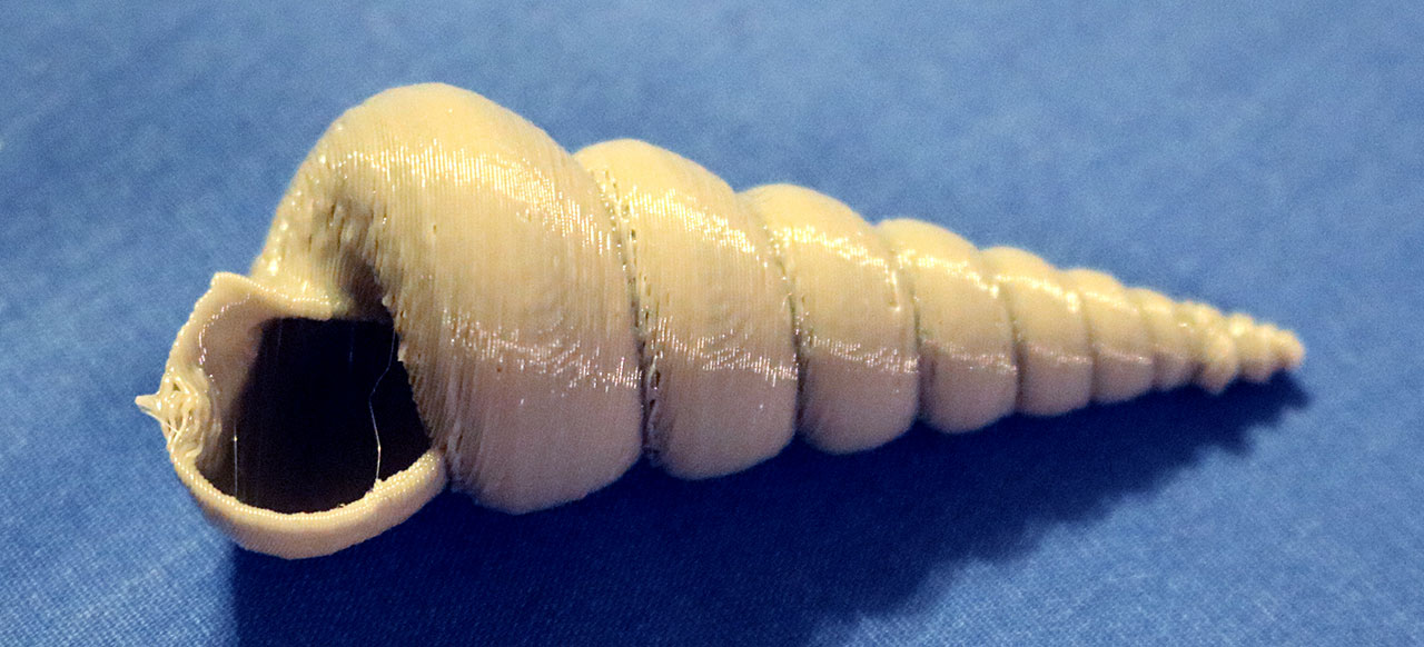 Louisville Fossils and Beyond: 02/01/2017 - 03/01/2017