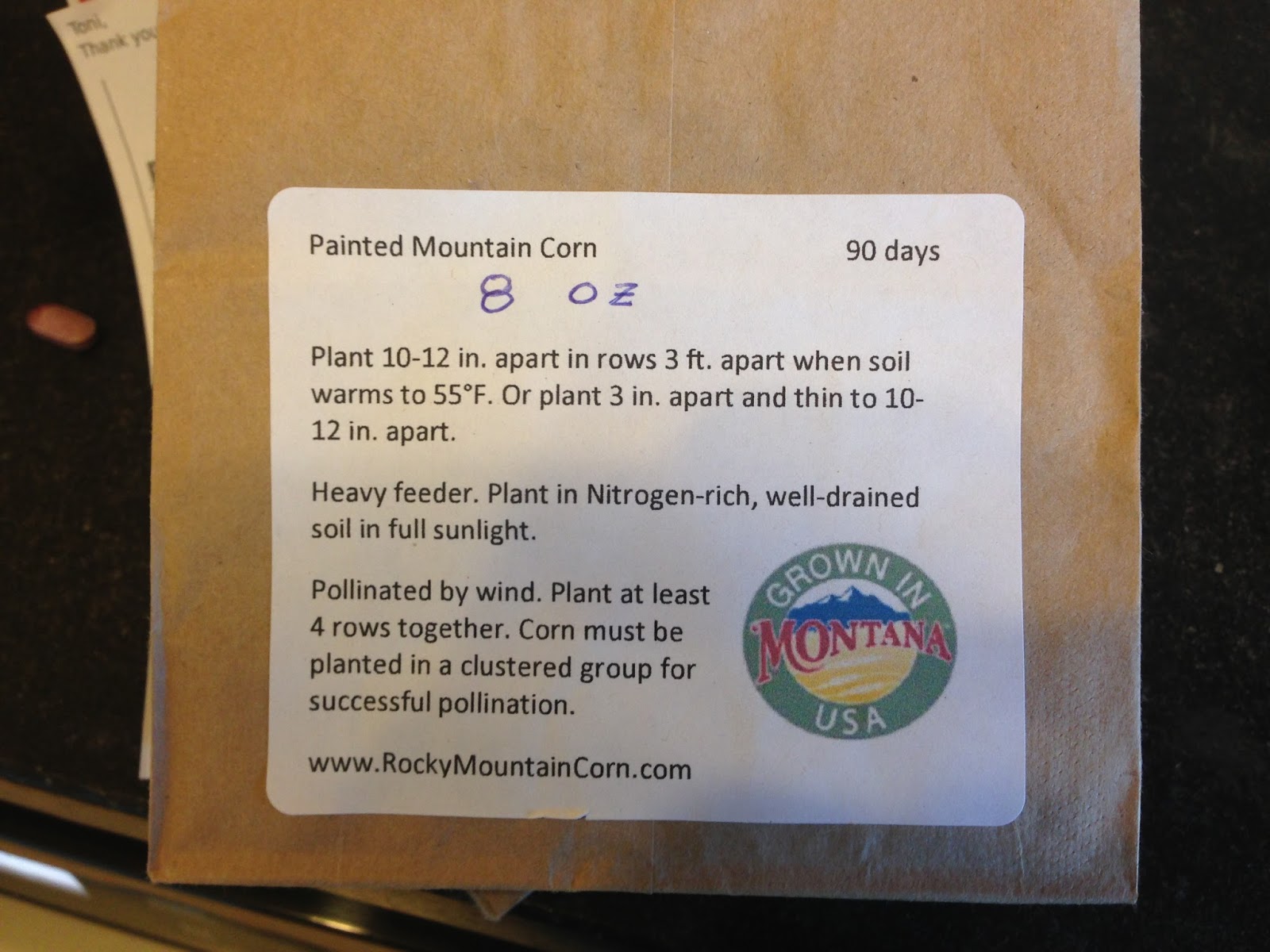 Toni's Square Foot Garden