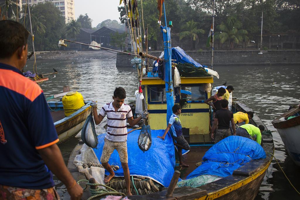 Mumbai Daily: Fish ahoy!