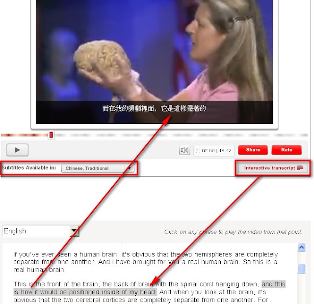 CUTe-Linguistics: Aphasia 失語症 Sarah Scott and Jill Bolte (2010~2015)