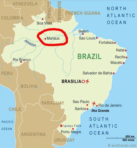 G goes Brazil: Manaus