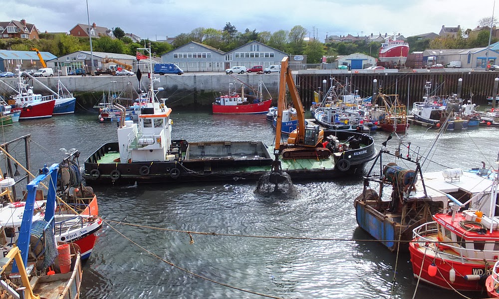 Irish Wildscapes: Around Kilkeel Harbour