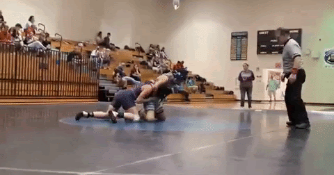 Men Wrestling Women: You're pinned! just in case you didn't hear that ...