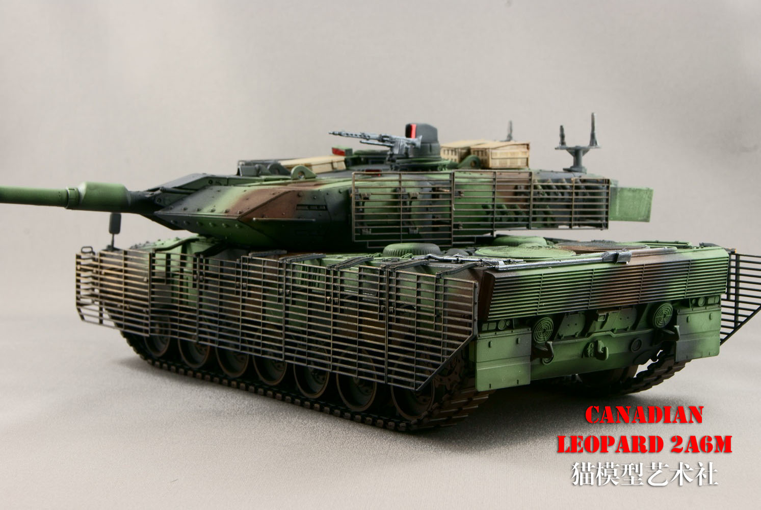Alex's Model: Canadian Leopard 2a6m