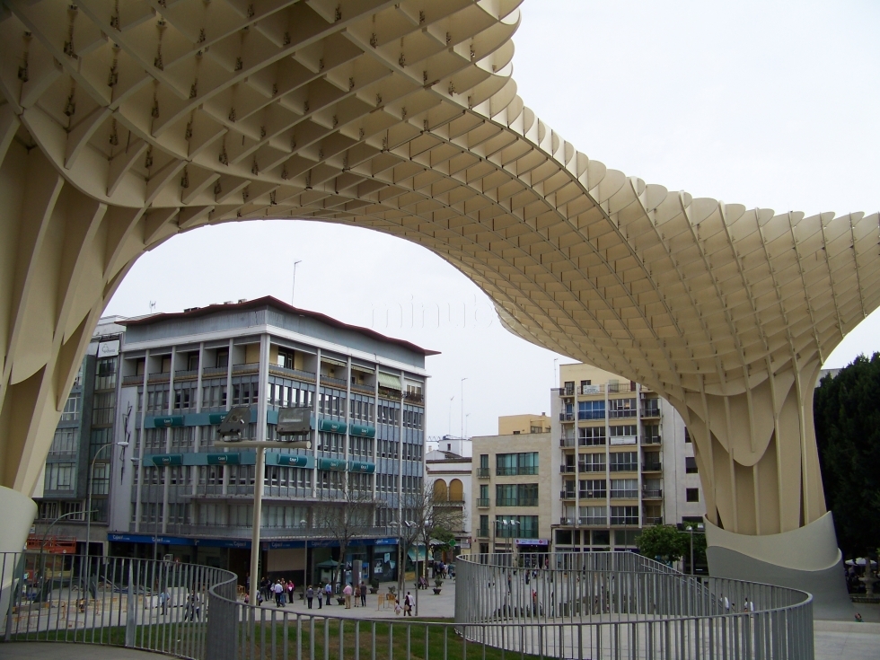 ENTRE LOMOS: VISITA A LA SETA DE SEVILLA