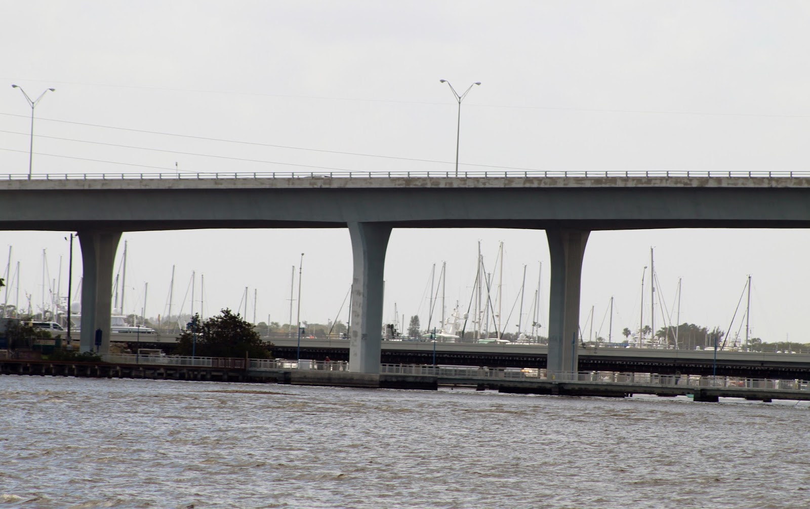 Rediscovering the Bahamas!: Manatee Pocket to Stuart 2/12/18