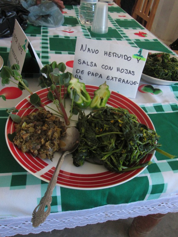 El cuexcomate: Brassicaceae