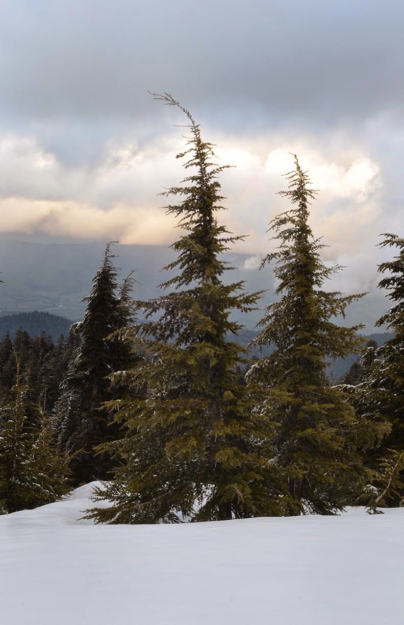 Shane Minton photography