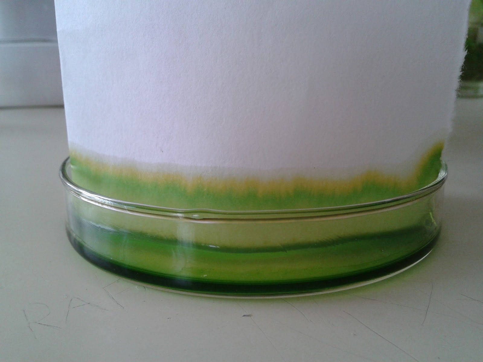 Ciències Naturals MBT: Cromatografía sobre papel