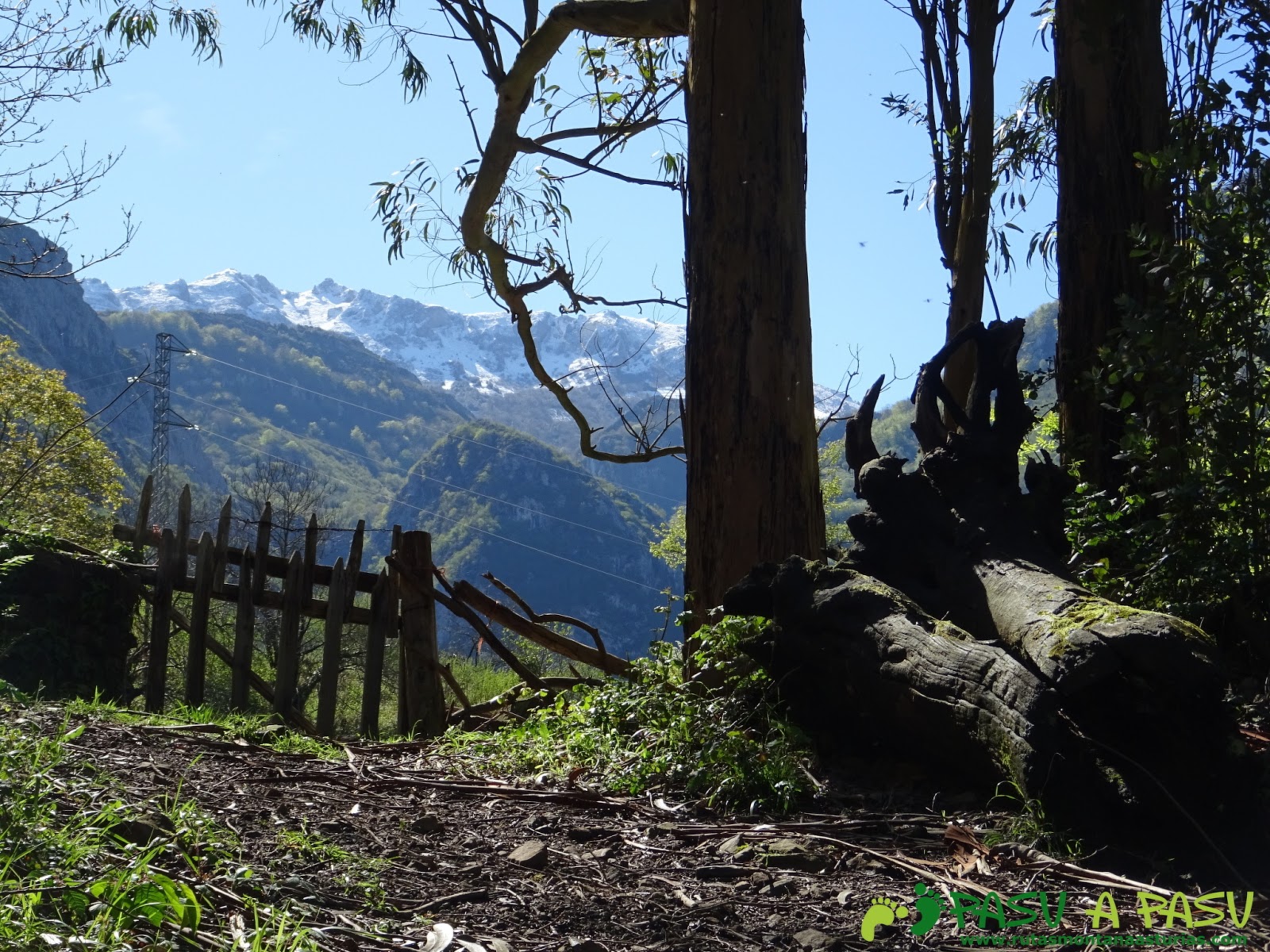 RUTA de las XANAS por SERANDI | Pasu A Pasu - Rutas por Asturias de ...