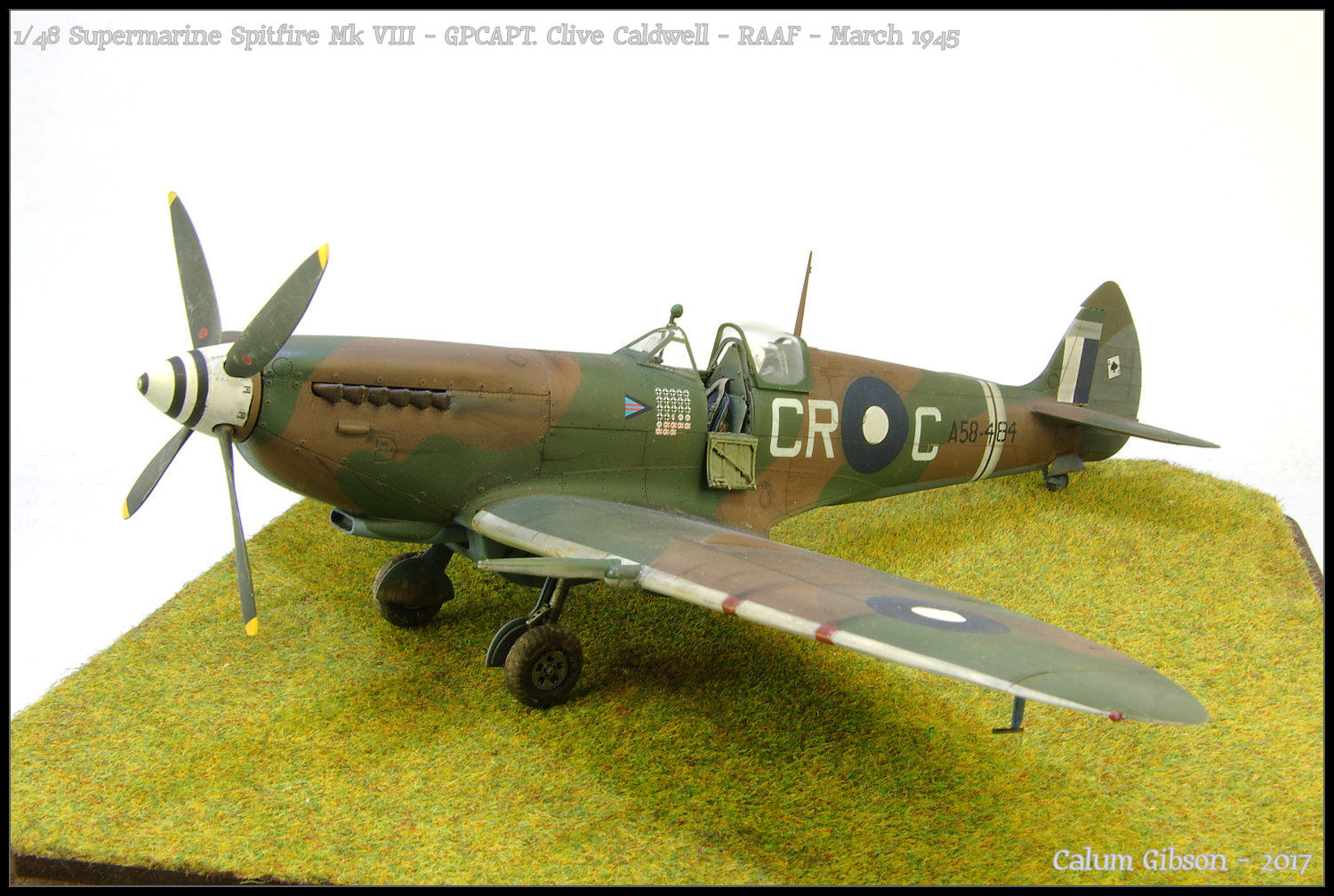 The Hamfisted Modeller: 1/48 Supermarine Spitfire Mk VIII GPCAPT Clive ...