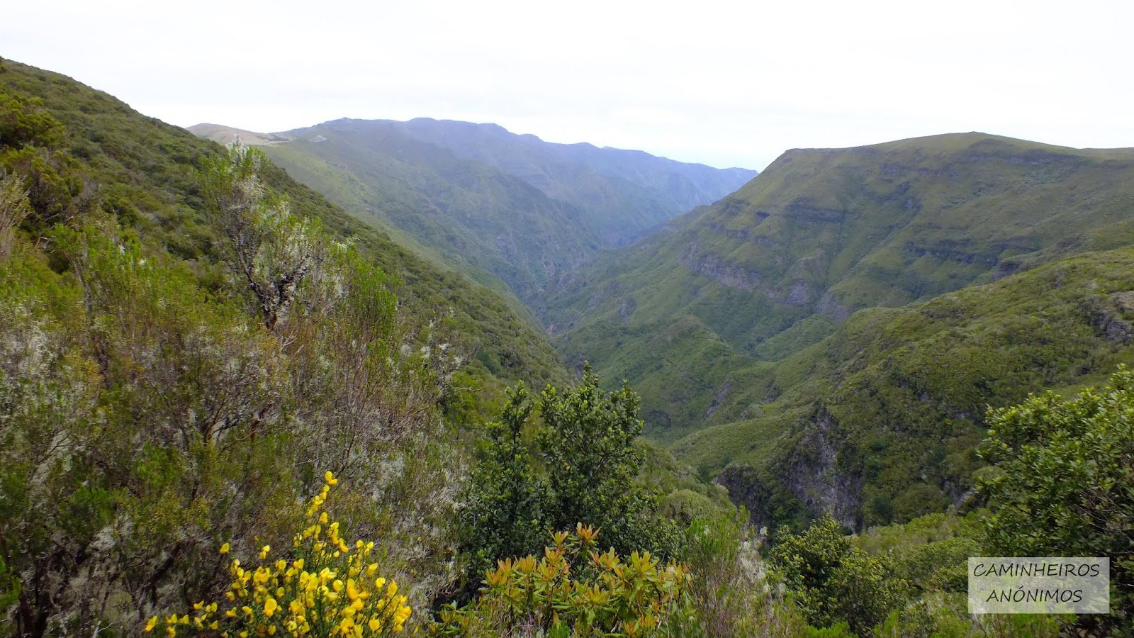 Caminheiros Anónimos Levadas da Madeira : Levada Grande do Paul (Calheta)
