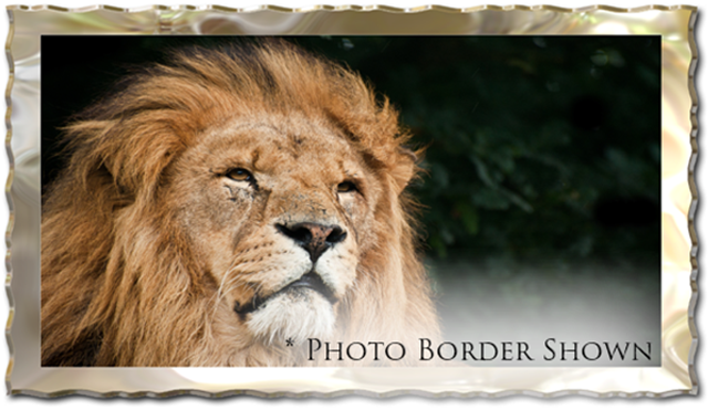 Auto FX Software: 10 Filtros Profesionales y Gratuitos | Saltaalavista Blog