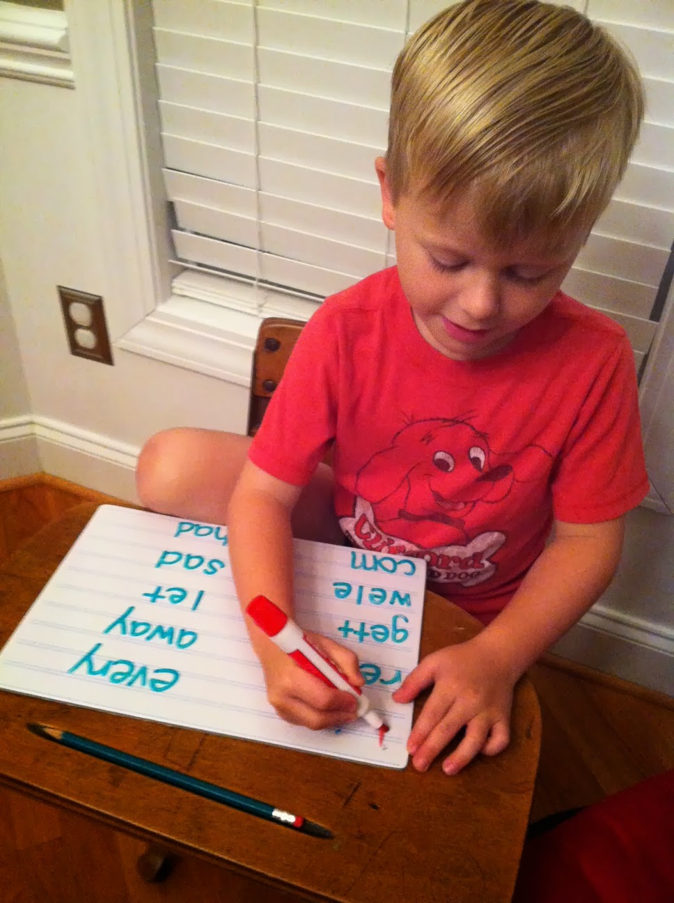 The Things I'm Learning: Ninja Turtles, Homework and Other Random Things