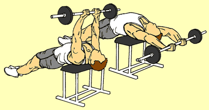 BARBELL PULLOVER ~ ALL FITNESS