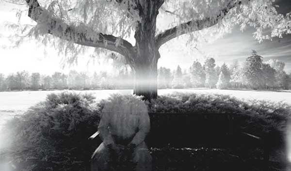 Denver Subculture: Mile High Macabre: Now that everyone likes skulls ...