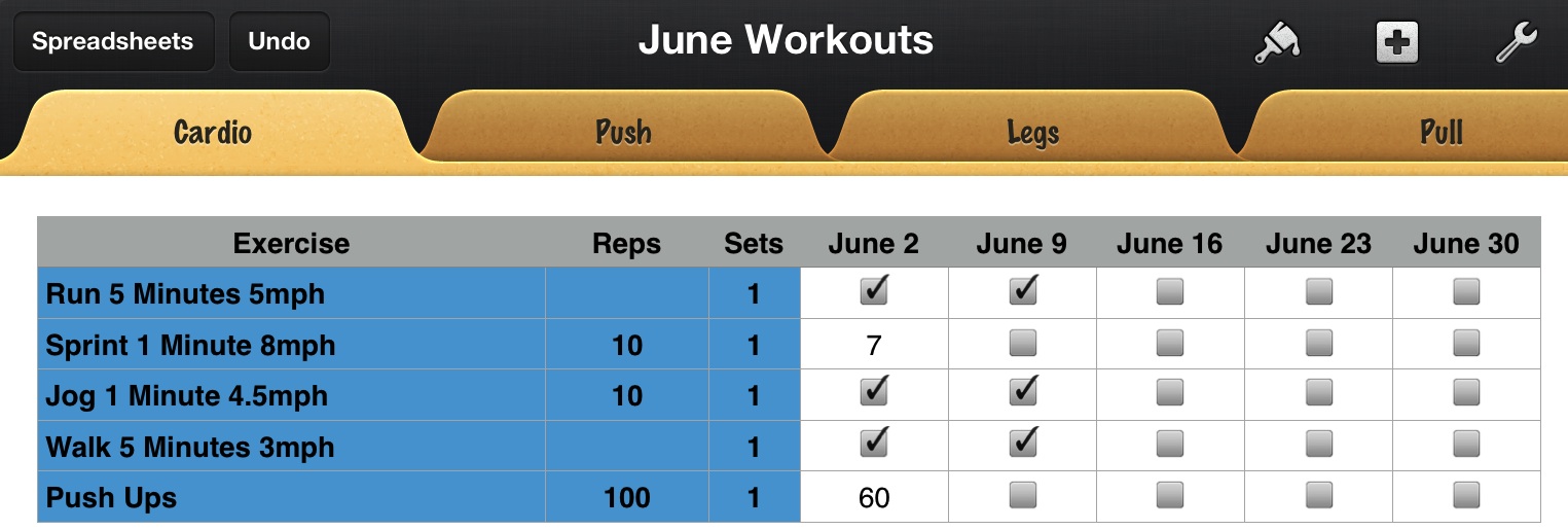 Inch by Inch: The Journey to My Healthy Lifestyle: June Workout Plan