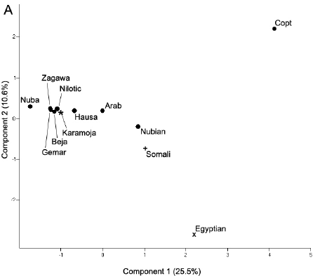 For what they were... we are: Sudanese autosomal genetics