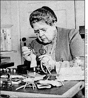 Murder is Everywhere: Murder Is Her Hobby: Frances Glessner Lee and the ...