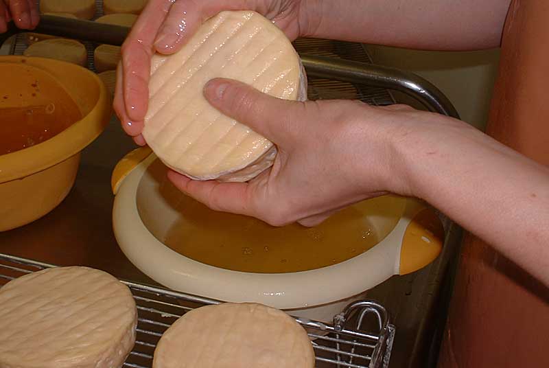 Behind the French Menu: Époisses (Epoisses) AOC the Premier Cheese from ...